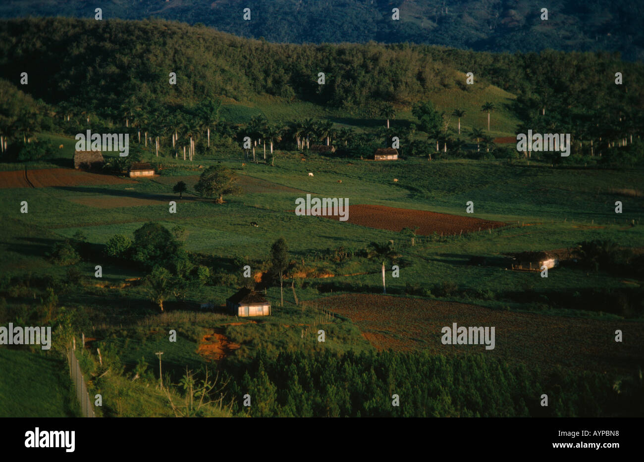 Cuban farmland hi-res stock photography and images - Alamy