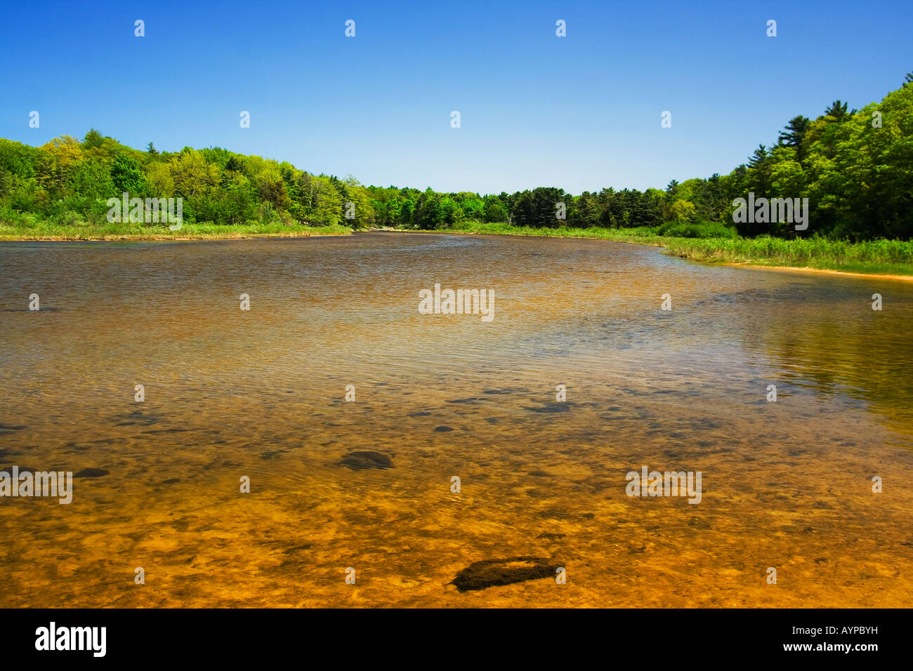 beautiful clean river with dramatic colors Stock Photo - Alamy