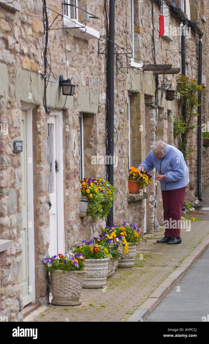 Terraced cottages of traditional design in Hay on Wye Powys Wales UK EU ...