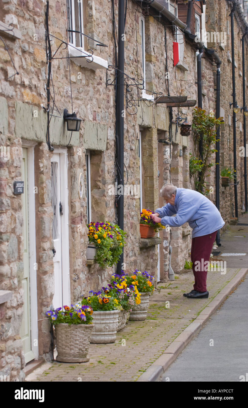 Terraced cottages of traditional design in Hay on Wye Powys Wales UK EU ...