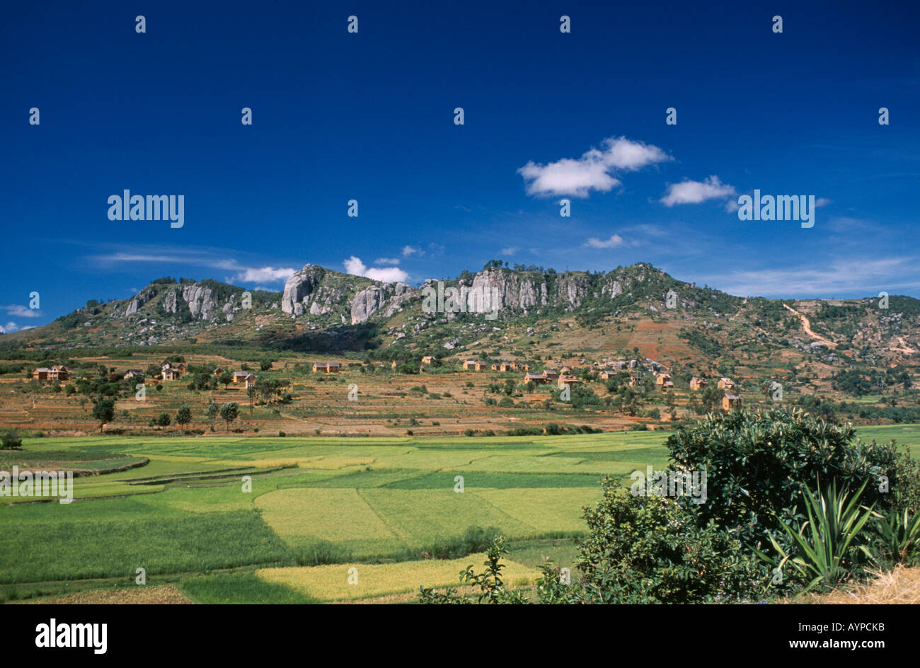 Madagascaran hi-res stock photography and images - Alamy