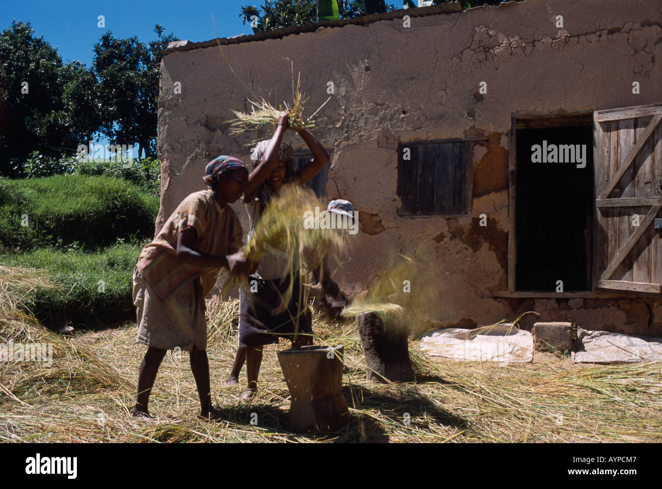 Madagascaran hi-res stock photography and images - Alamy