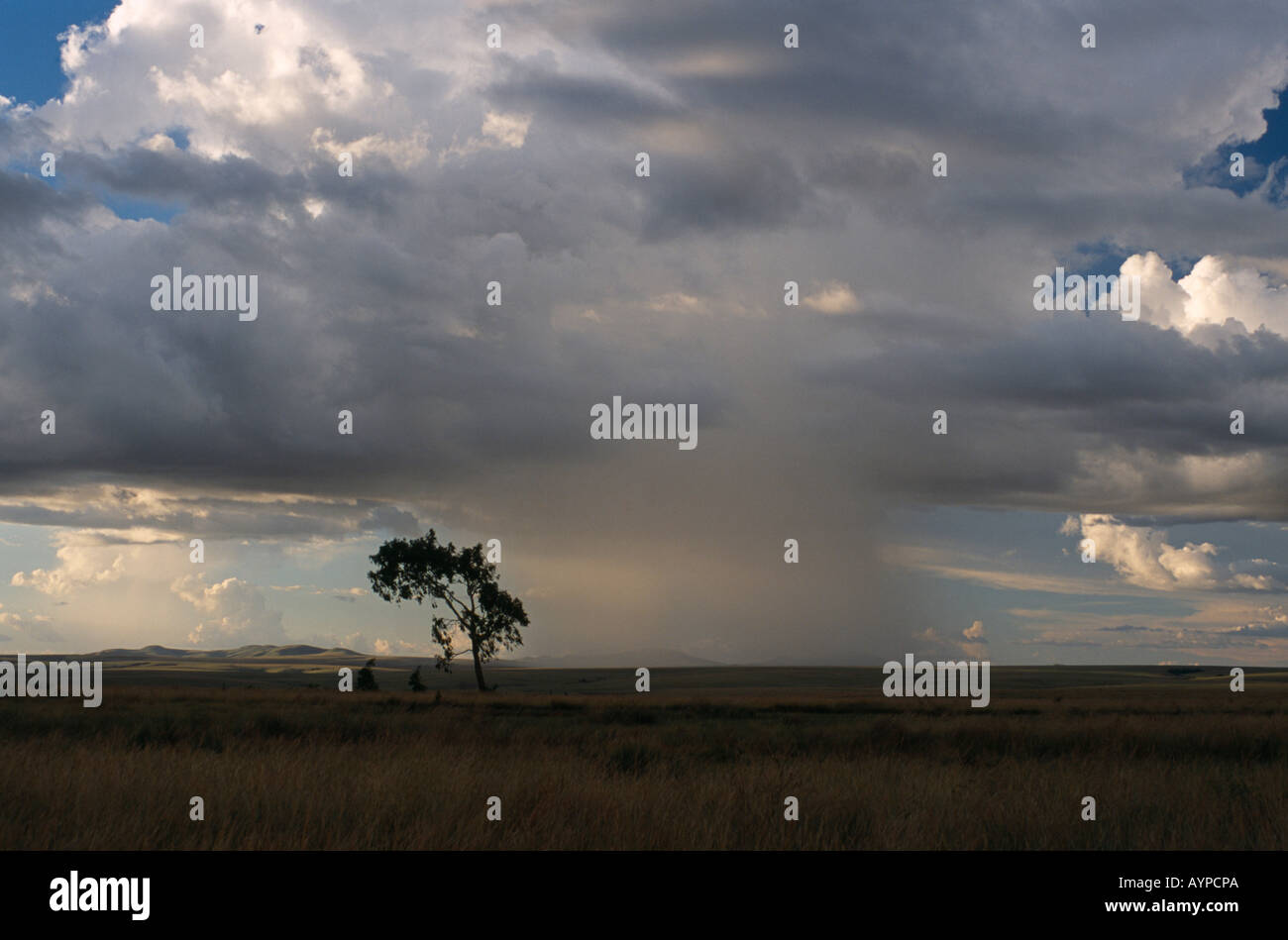 MADAGASCAR East Africa Weather Rain falling from storm clouds over the ...
