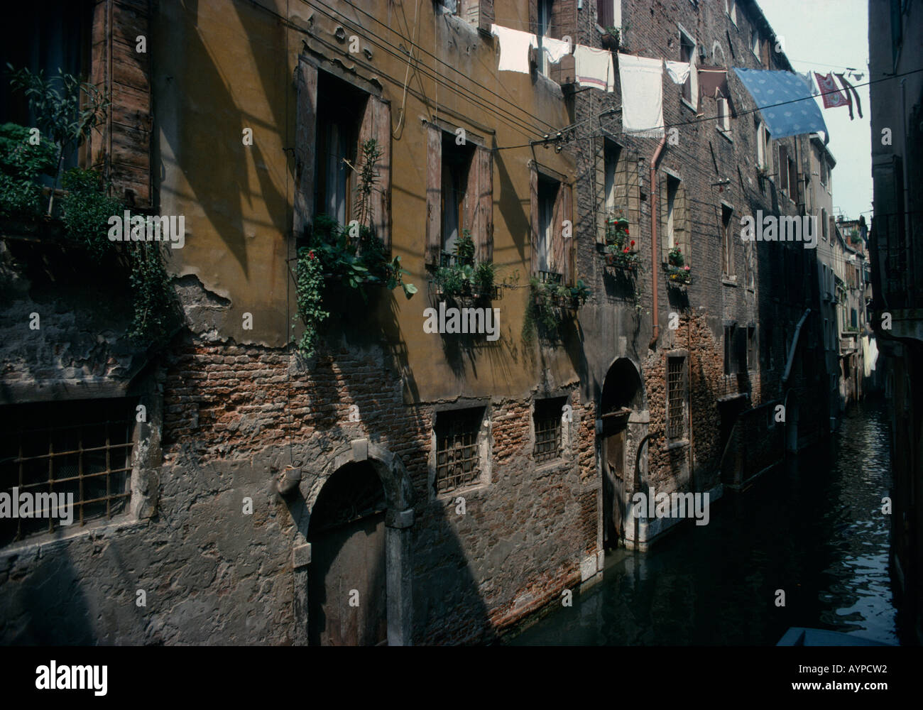 ITALY Veneto Venice In Peril Canal houses with crumbling plaster and ...