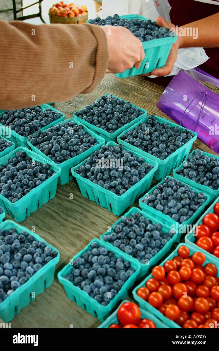 Blueberry Farms Stock Photos & Blueberry Farms Stock Images - Alamy