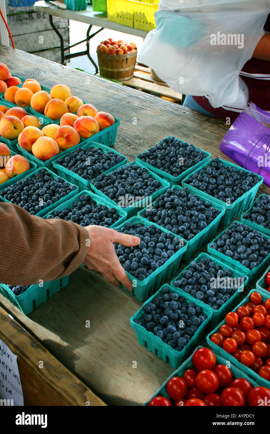 Blueberries at the Farmer's Market, E USA Stock Photo - Alamy