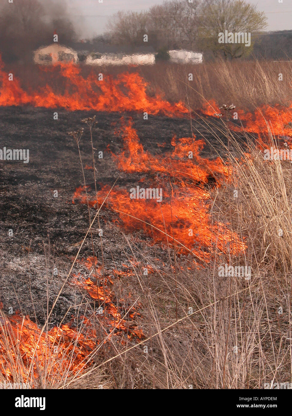 Grass fire prescribed burn prairie hi-res stock photography and images ...