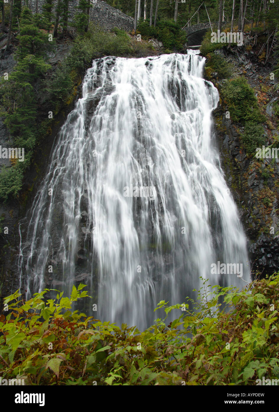 Narada Falls, Mount Rainier National Park, Washington, USA Stock Photo ...