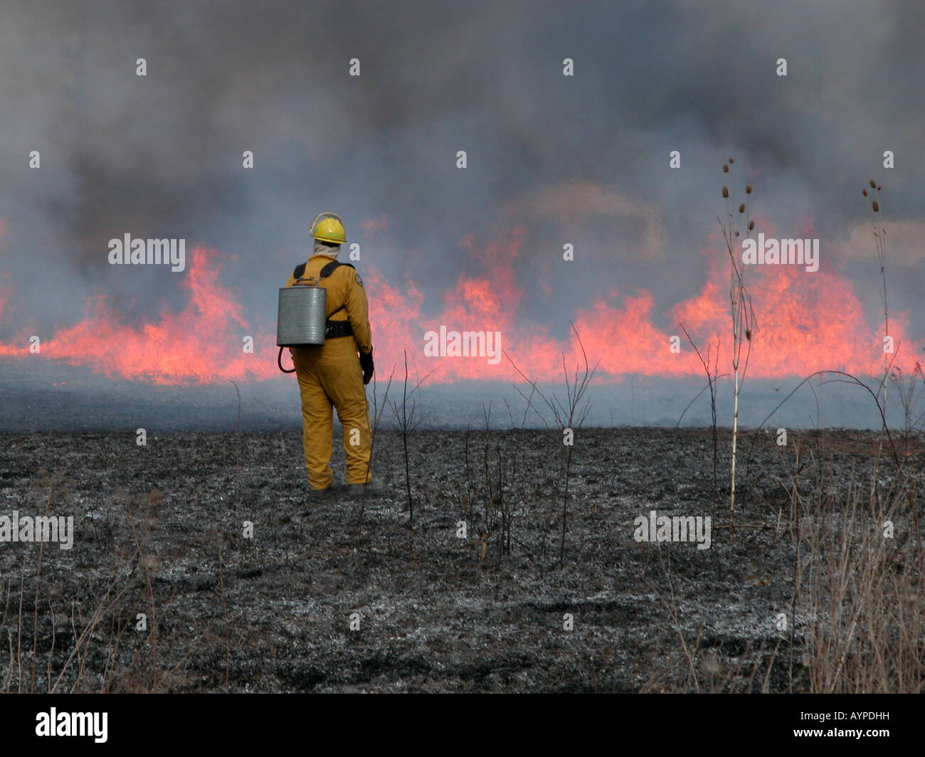 firefighter controlled prairie burn Stock Photo - Alamy