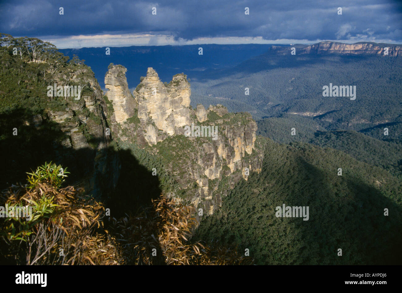 Aussie blue mountains hi-res stock photography and images - Alamy