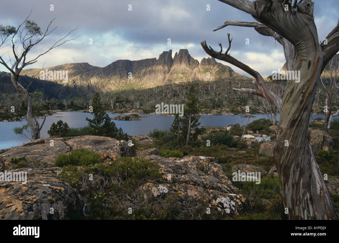AUSTRALIA Tasmania Lake Saint Clair National Park Lake Elysia and Mount ...