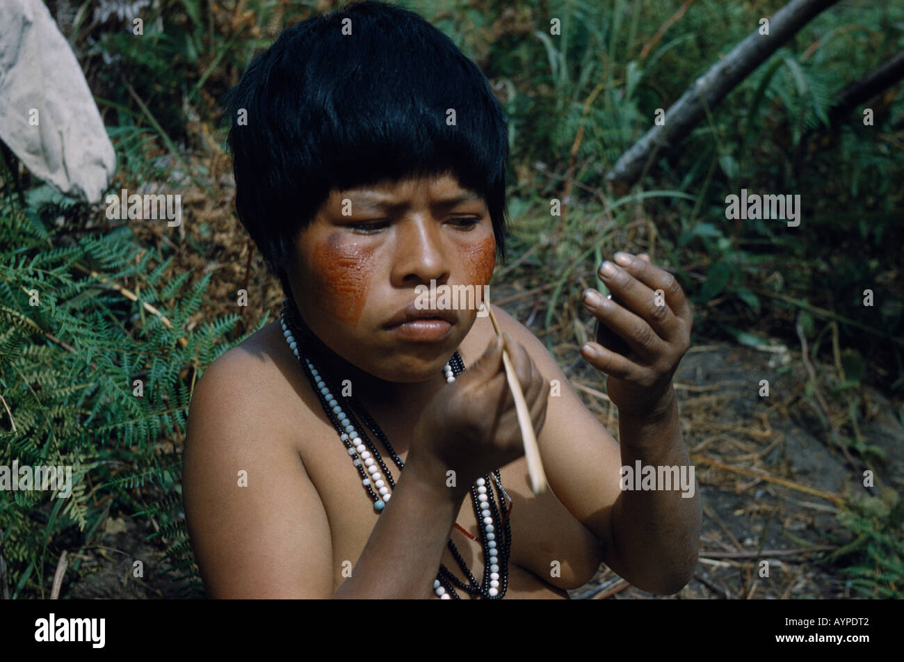 Sierra perija hi-res stock photography and images - Alamy