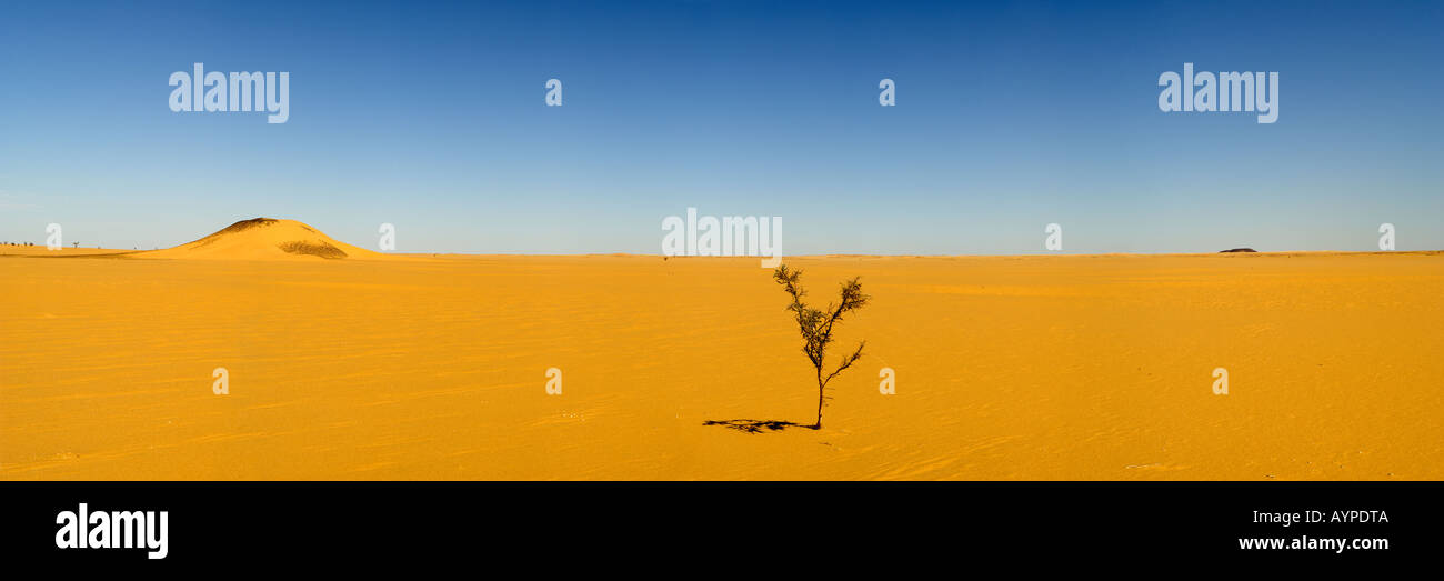 Bayud hi-res stock photography and images - Alamy