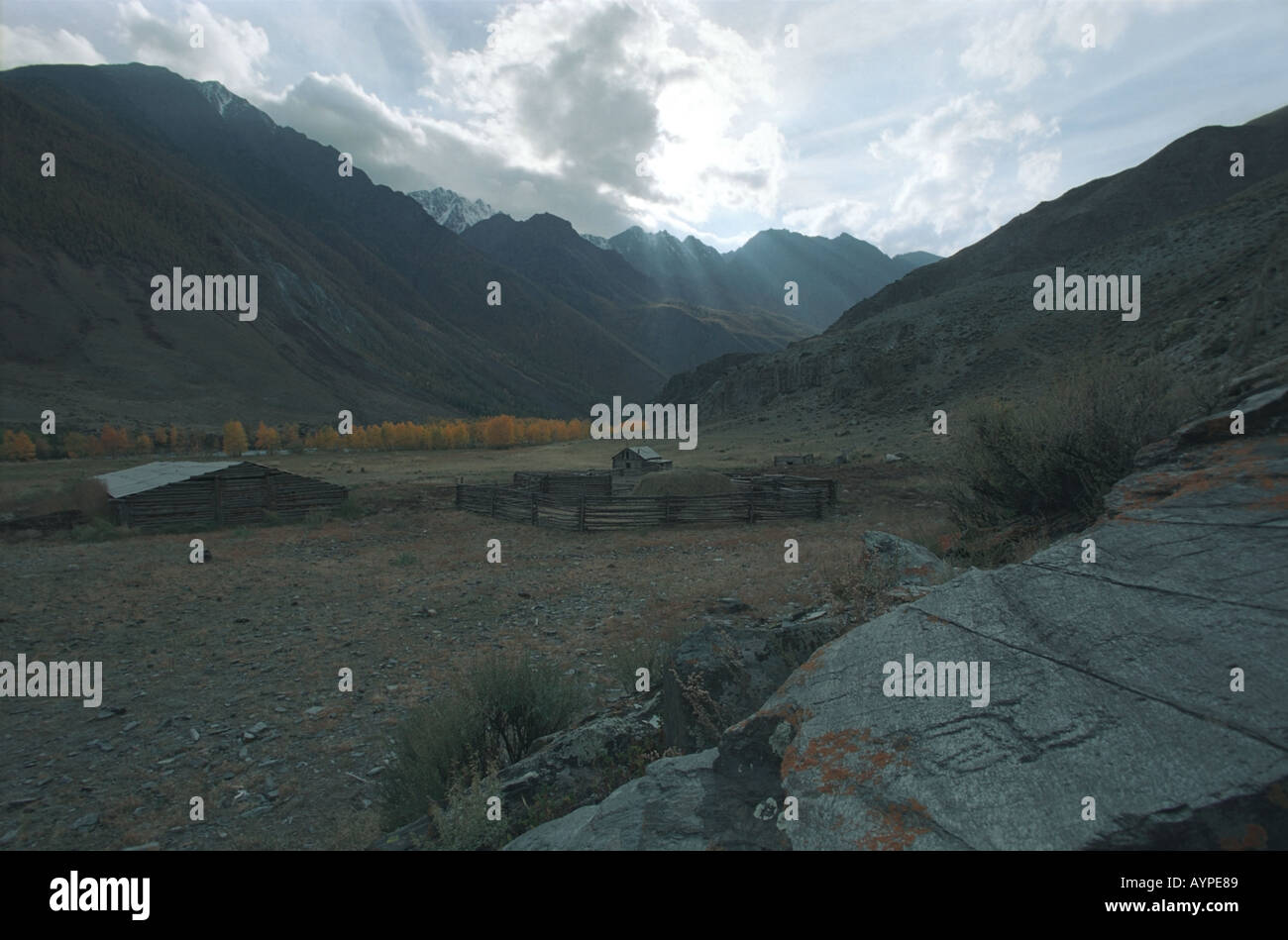 Ancient rock drawings The Argut river s valley Altai Siberia Russia ...