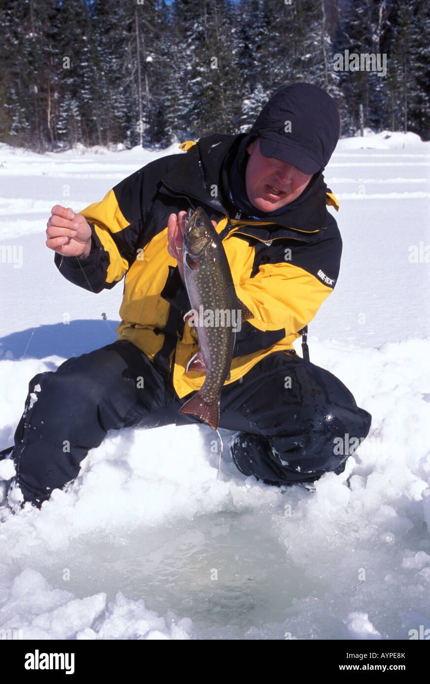 ice fisherman with brook trout Stock Photo - Alamy
