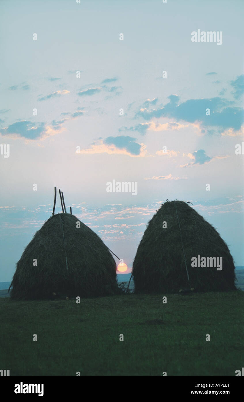 Two haystacks Altai Siberia Russia Stock Photo - Alamy