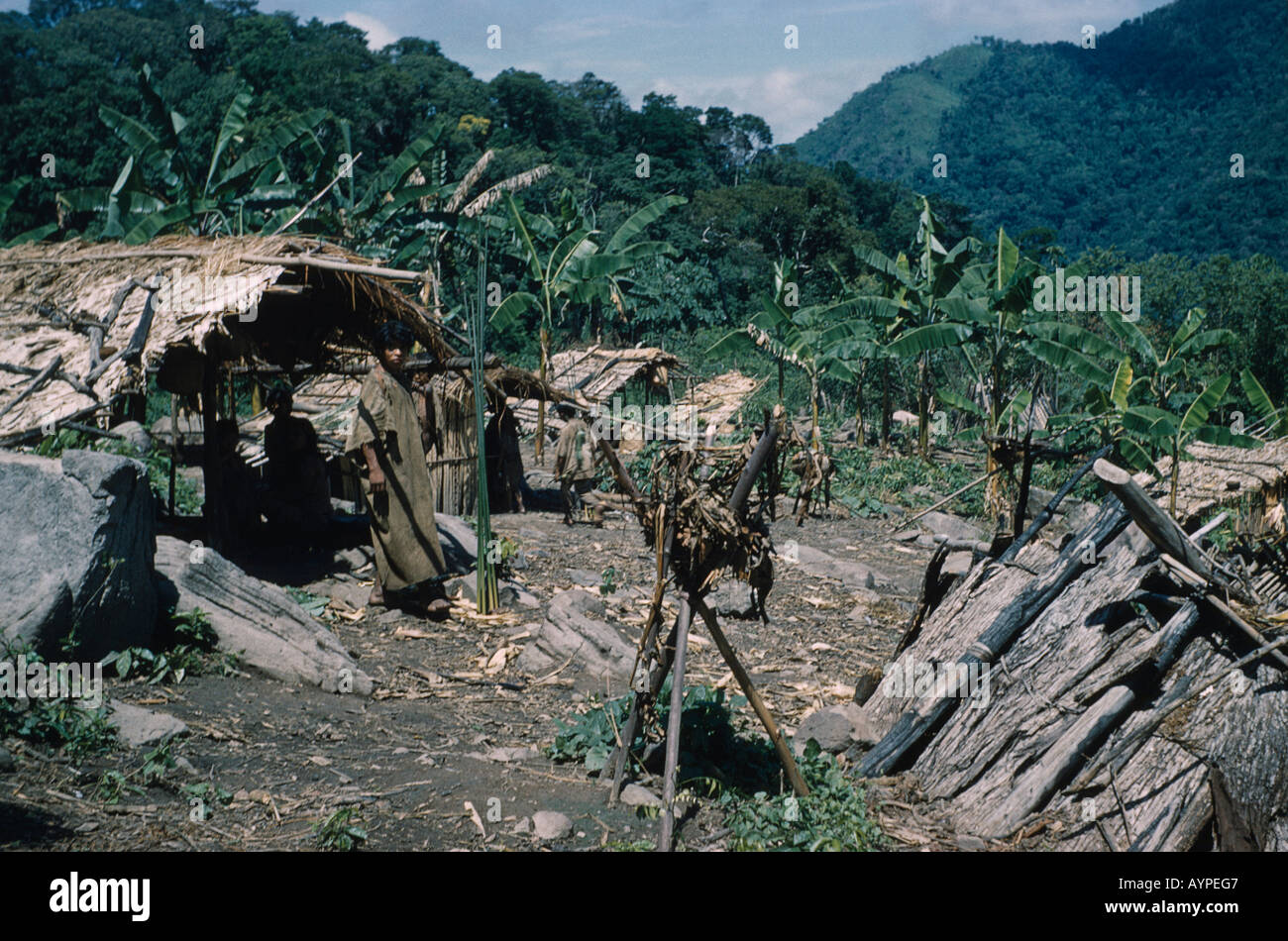 Perijá colombia hi-res stock photography and images - Alamy