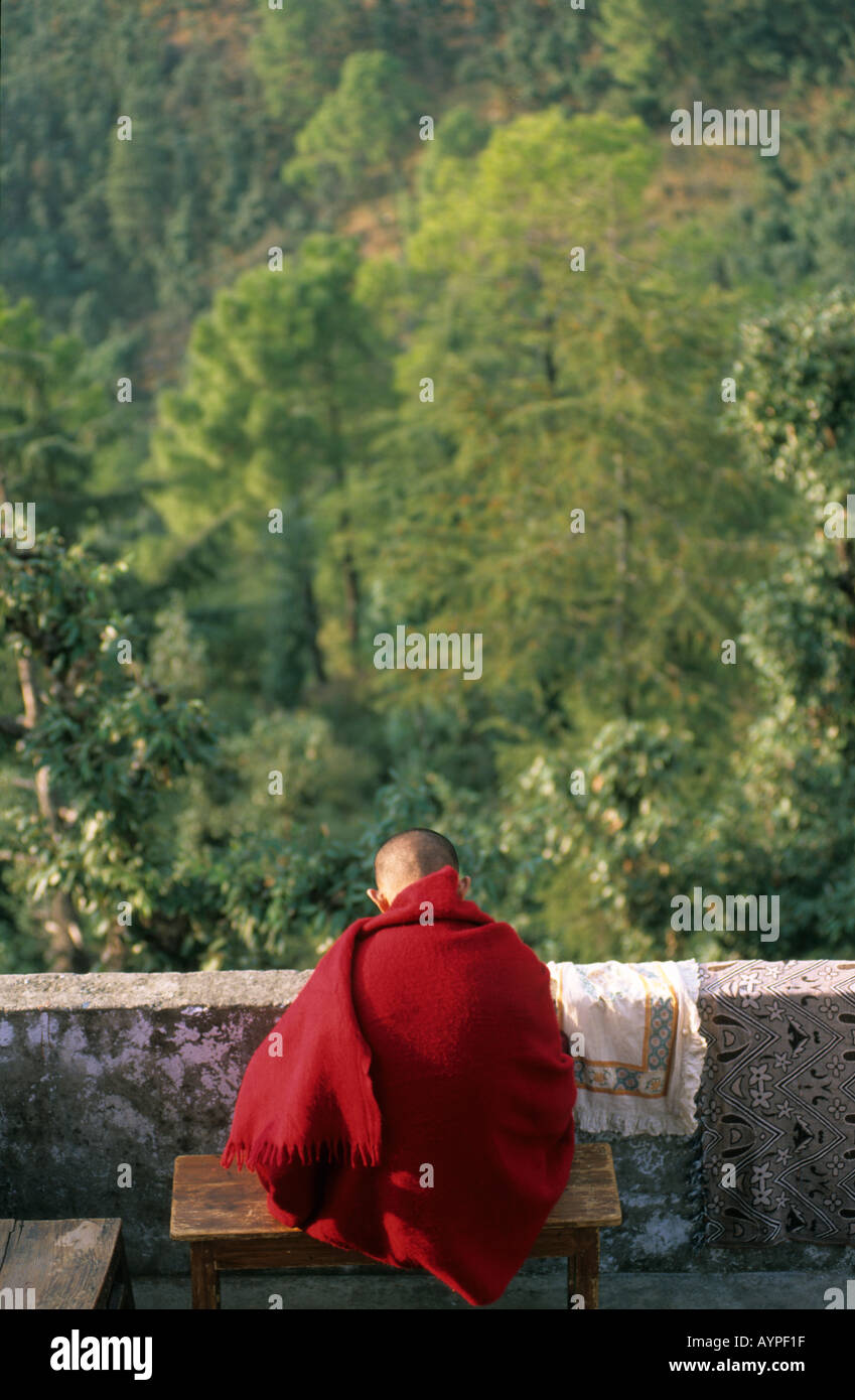 Alone Tibetan monk reading a book in forest background Stock Photo - Alamy
