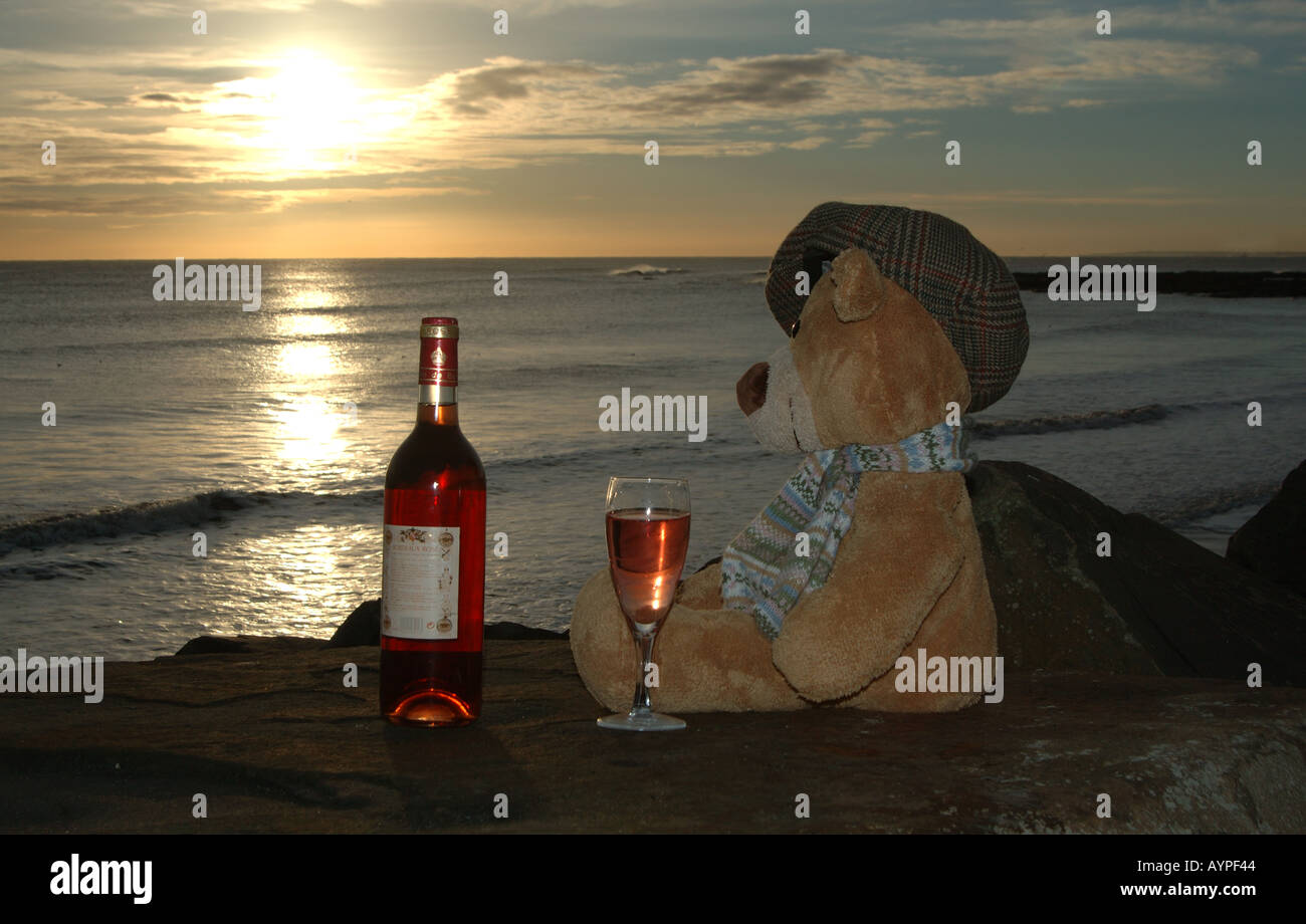 Teddy on the rocks Stock Photo - Alamy