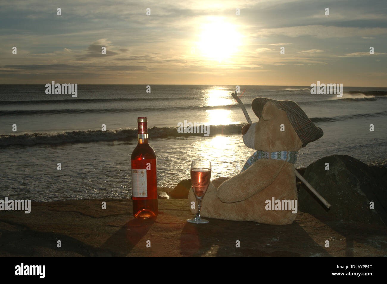 Teddy on The rocks Stock Photo - Alamy