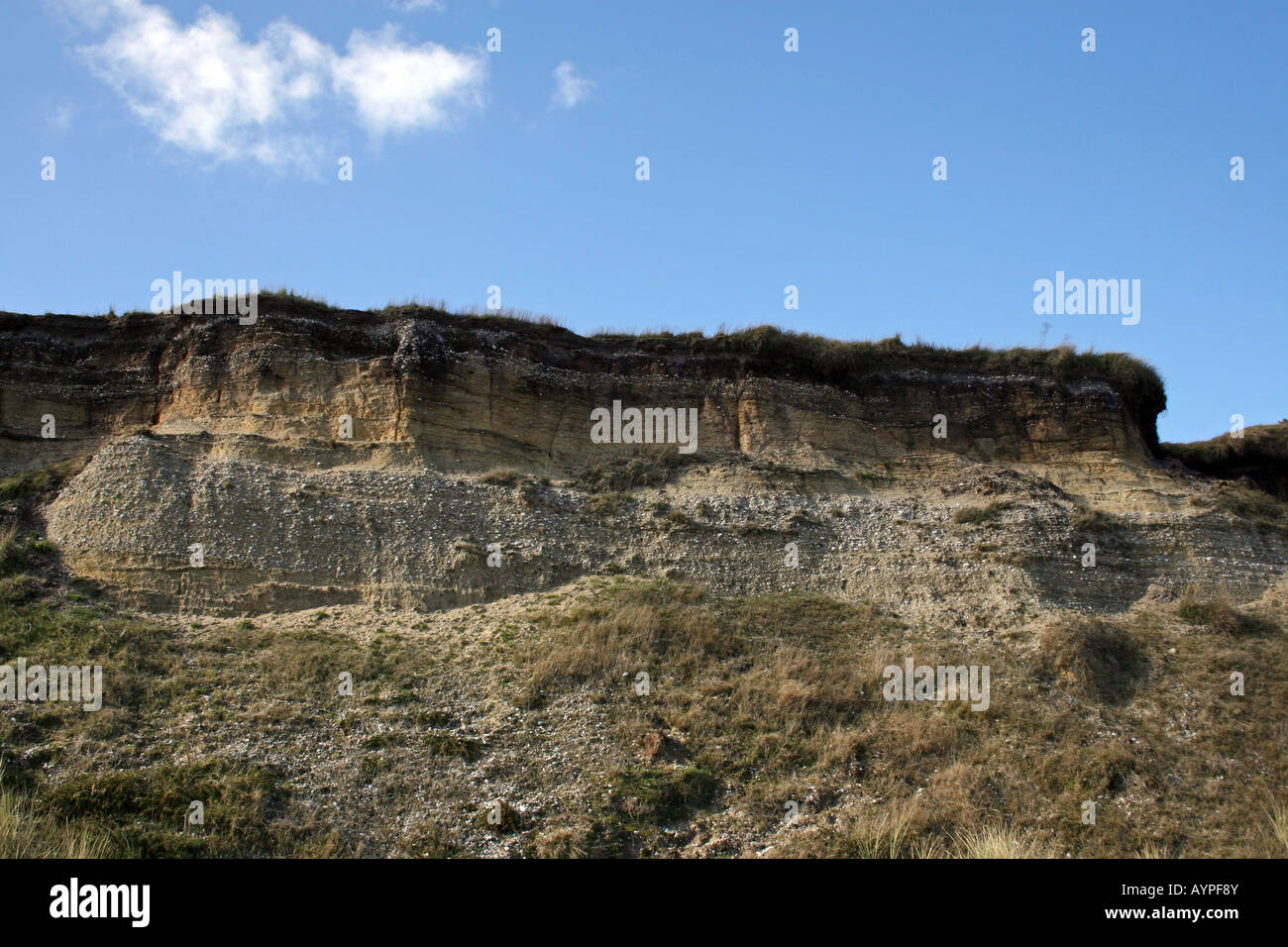 DUNWICH BEACH AND CLIFFS. SUFFOLK. ENGLAND Stock Photo - Alamy