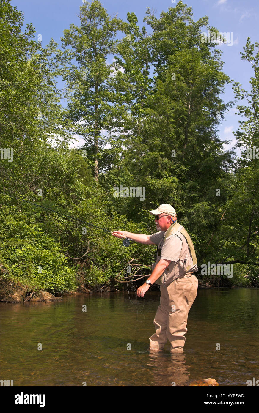 Fly fishing in northern Georgia, USA Stock Photo - Alamy