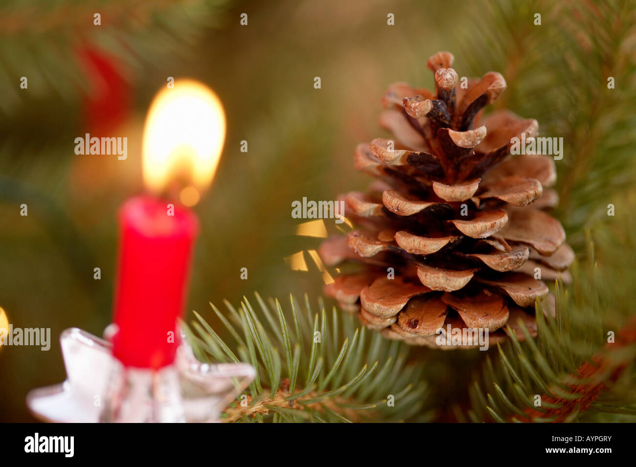 Burning candle and pine cones on Christmas tree Stock Photo - Alamy