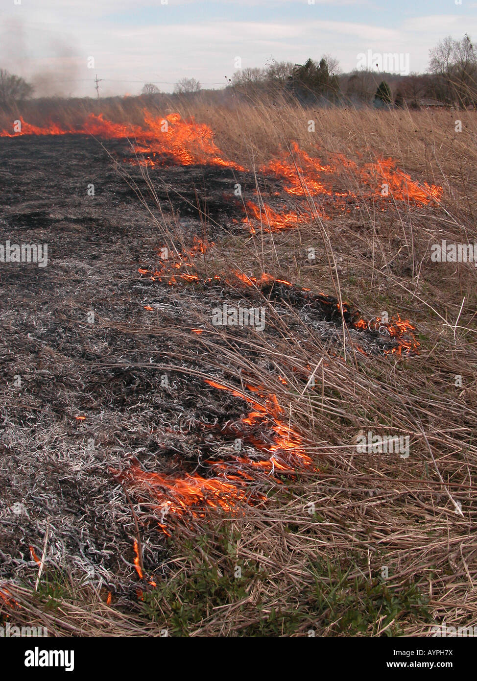 controlled prairie burn prescribed maintenance restoration flames fire ...
