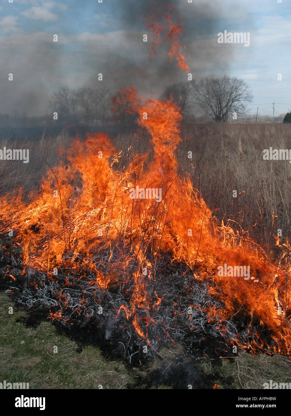 controlled prairie burn prescribed maintenance restoration flames fire ...