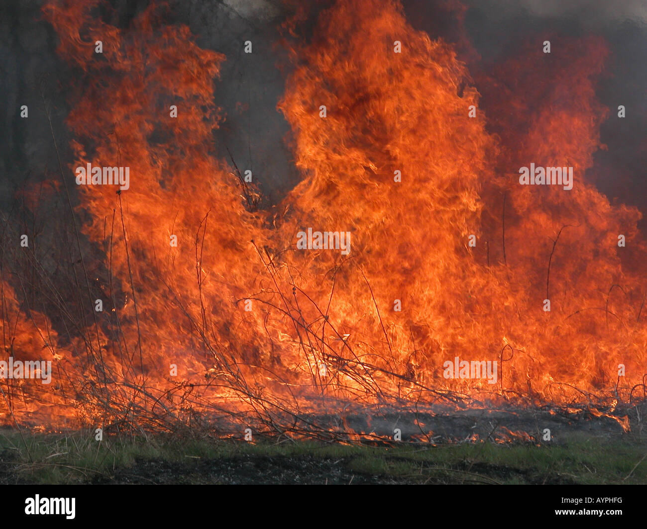 controlled prairie burn Stock Photo - Alamy