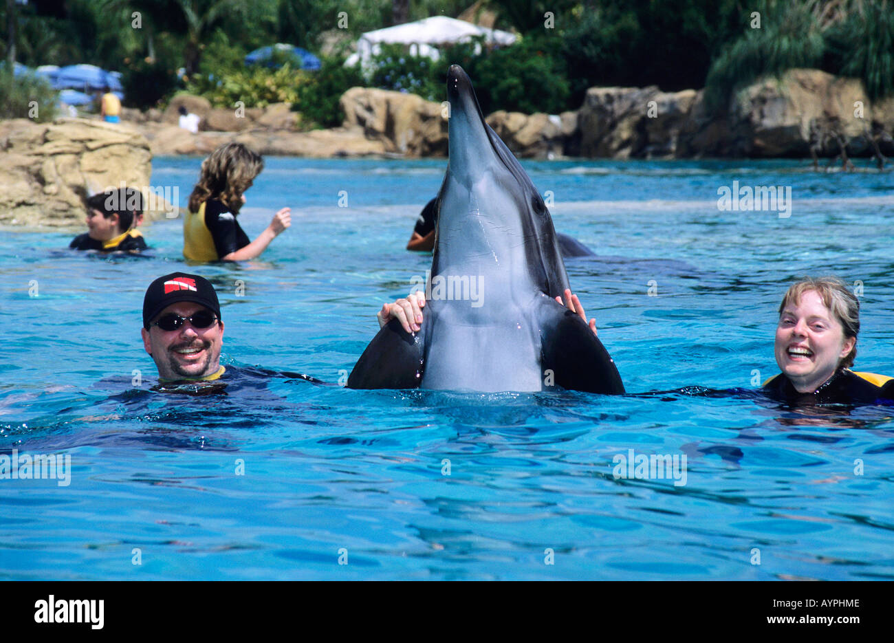Two people swimming with a dolphin at the Dolphin Interaction at ...