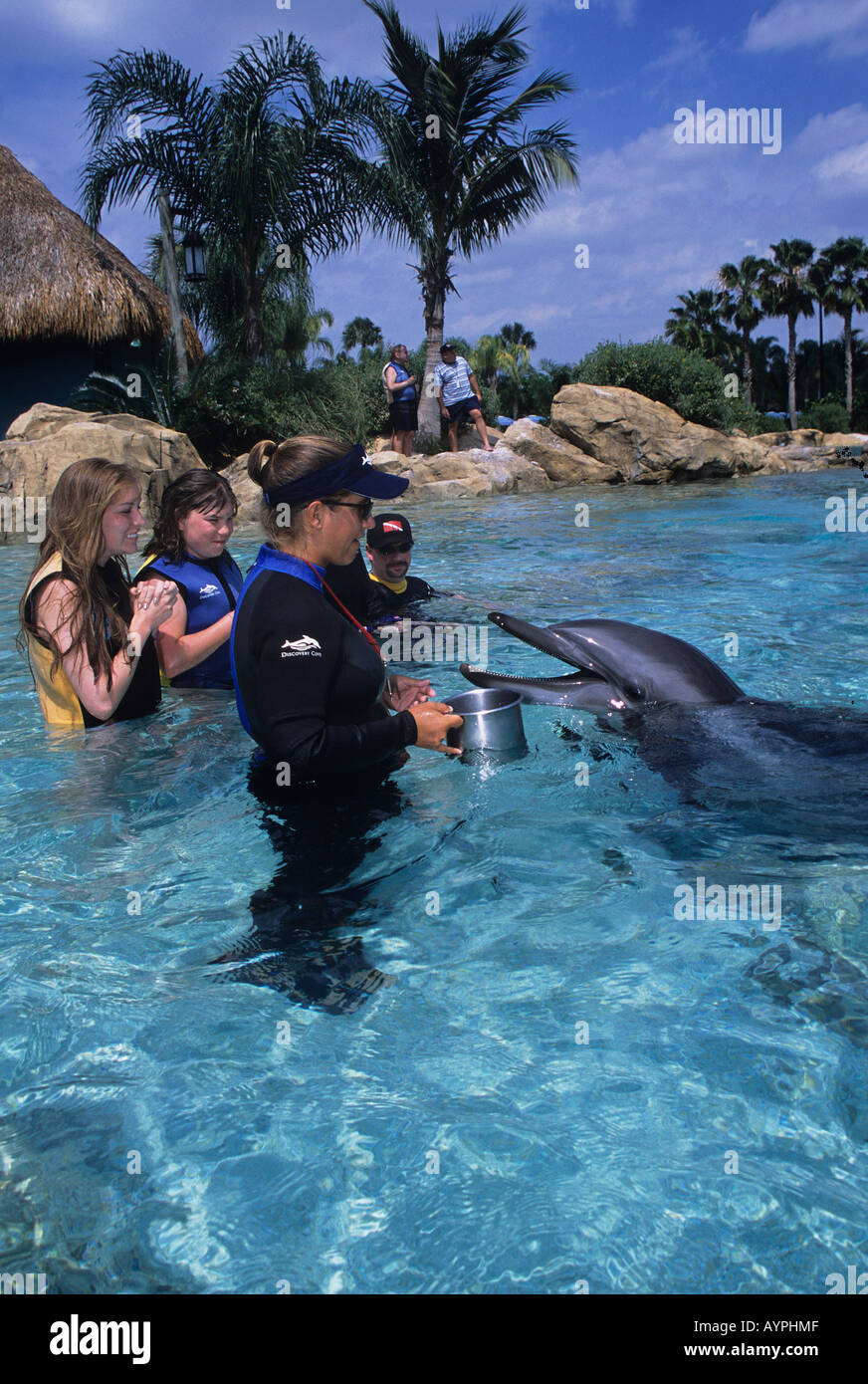 A keeper with visitors and a dolphin at the Dolphin Interaction at ...