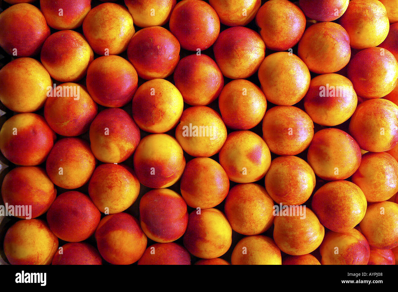 Top view of large group of peaches displayed Stock Photo - Alamy