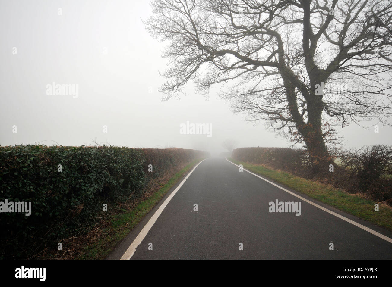 Empty straight road in the mist Chesterfield Stock Photo - Alamy