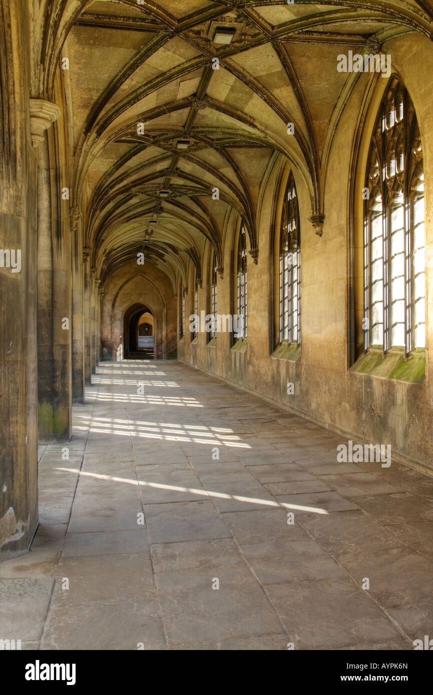 Cloisters at St John's College Cambridge Stock Photo - Alamy