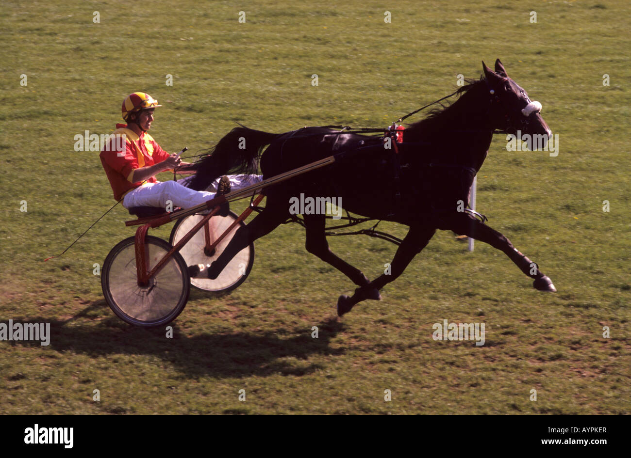 Trotting horse raceduring the Appleby Horse Fair, Cumbria, UK Stock ...