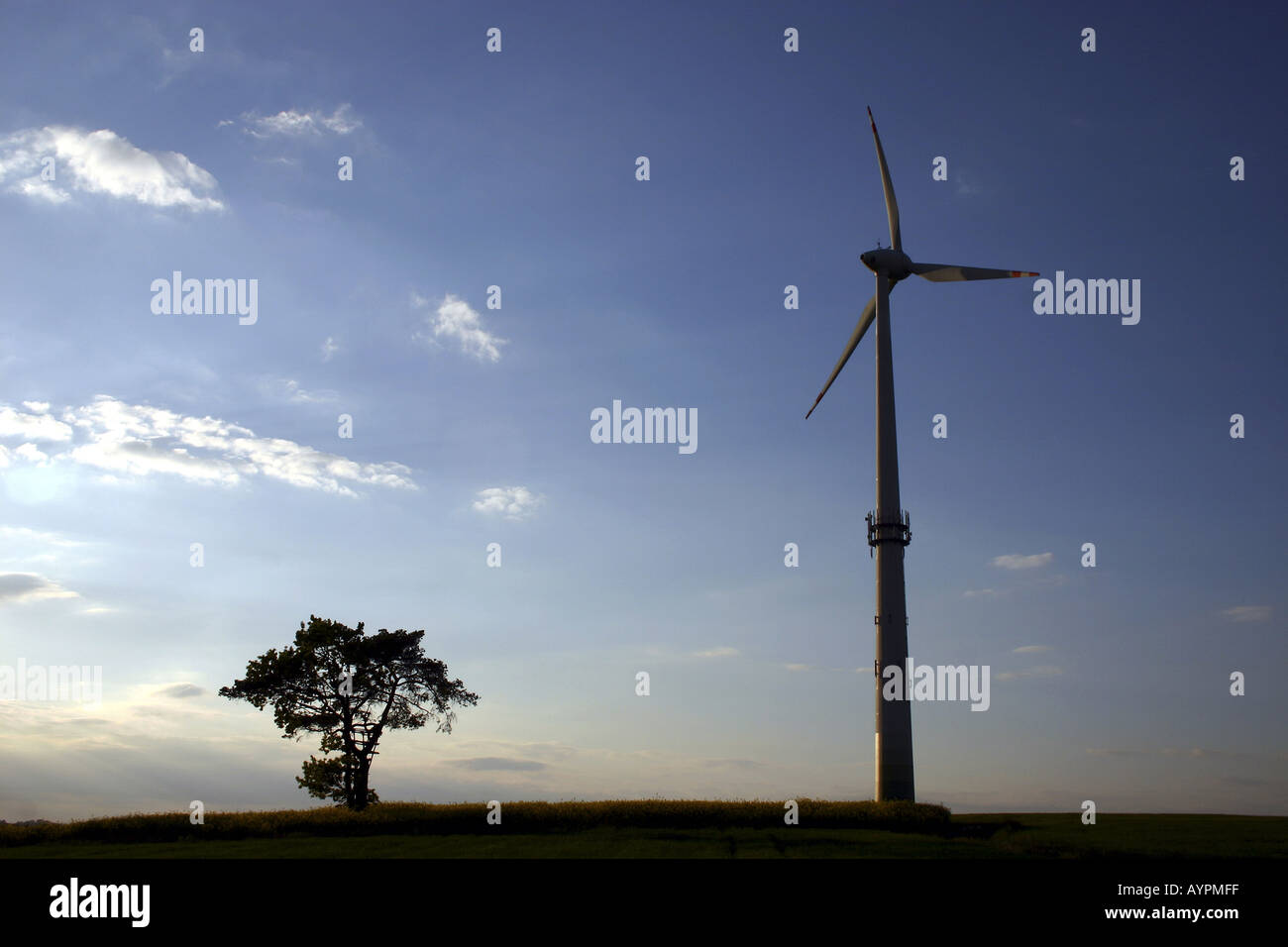 A windmill and a tree in an open land seen at dusk Stock Photo - Alamy