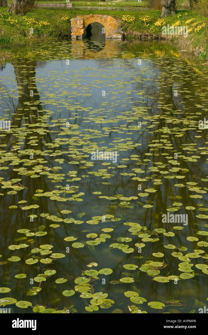 Moat with water lillys and a little medieval bridge On the small ...