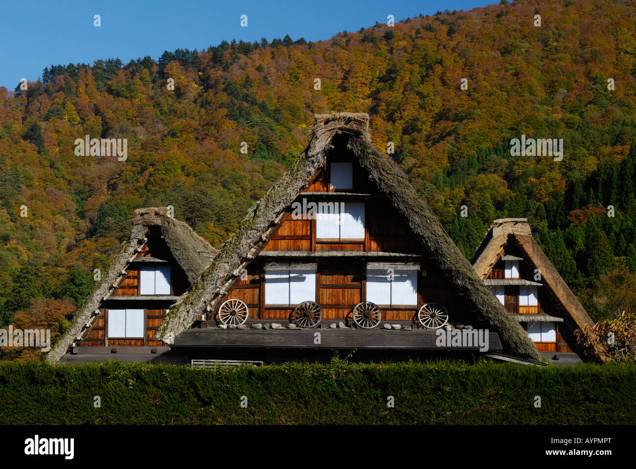 Gassho style houses in Shirakawa village during autumn, Japan Stock ...