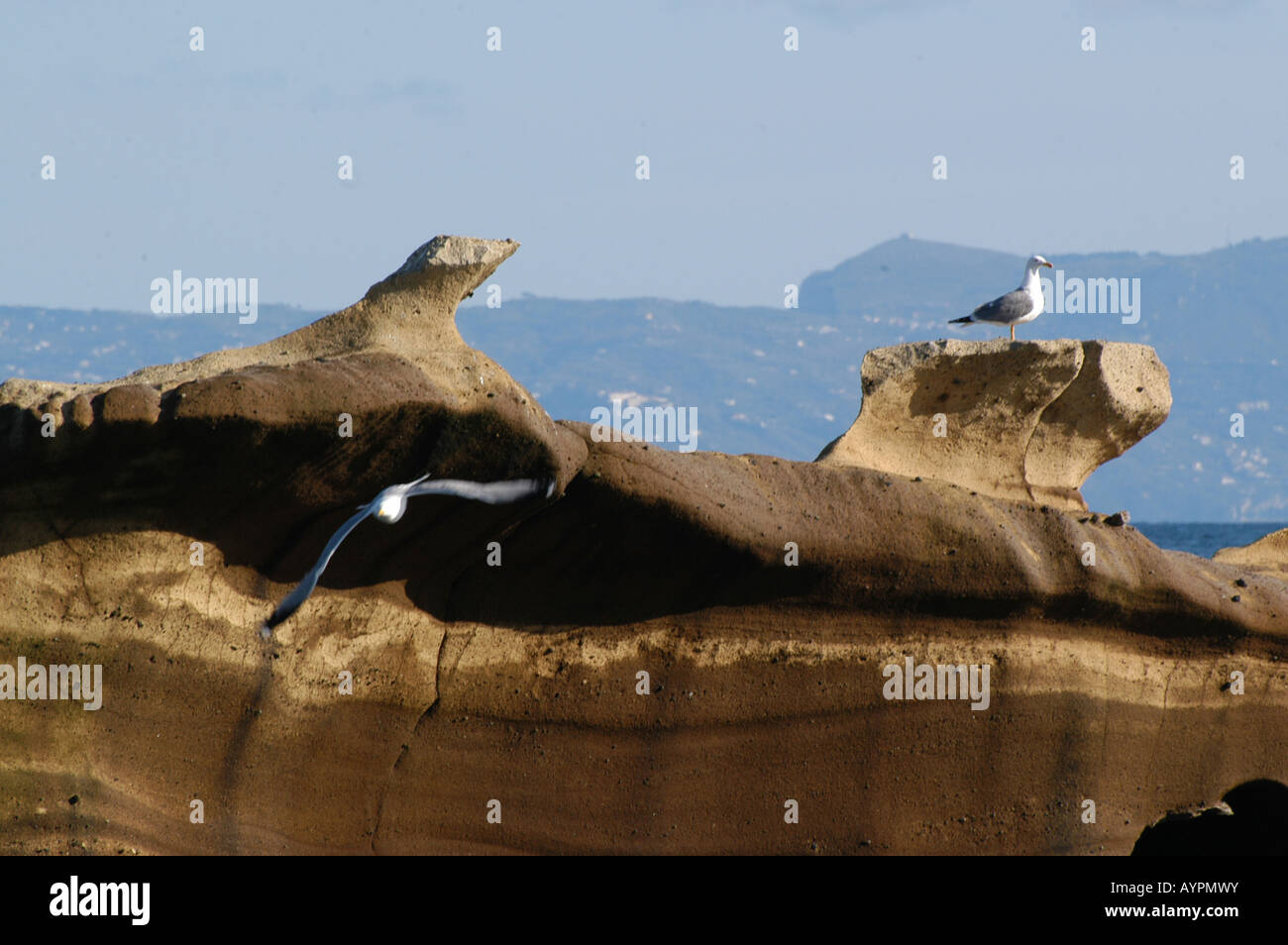 La gaiola naples hi-res stock photography and images - Alamy