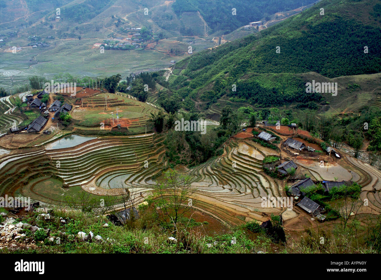 Sapa Rice Terraces Stock Photo - Alamy