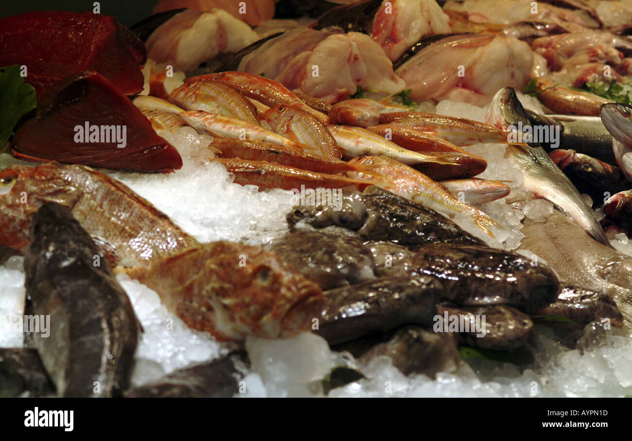 Dead fishes and animal flesh being preserved in the ice Stock Photo - Alamy