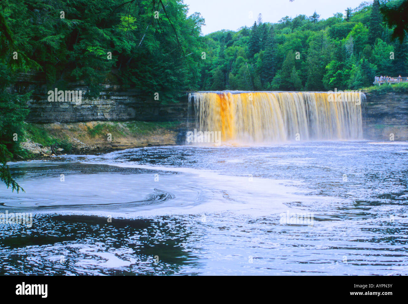 Tahquamenon Lower Falls upper peninsula Michigan State waterfall brown ...
