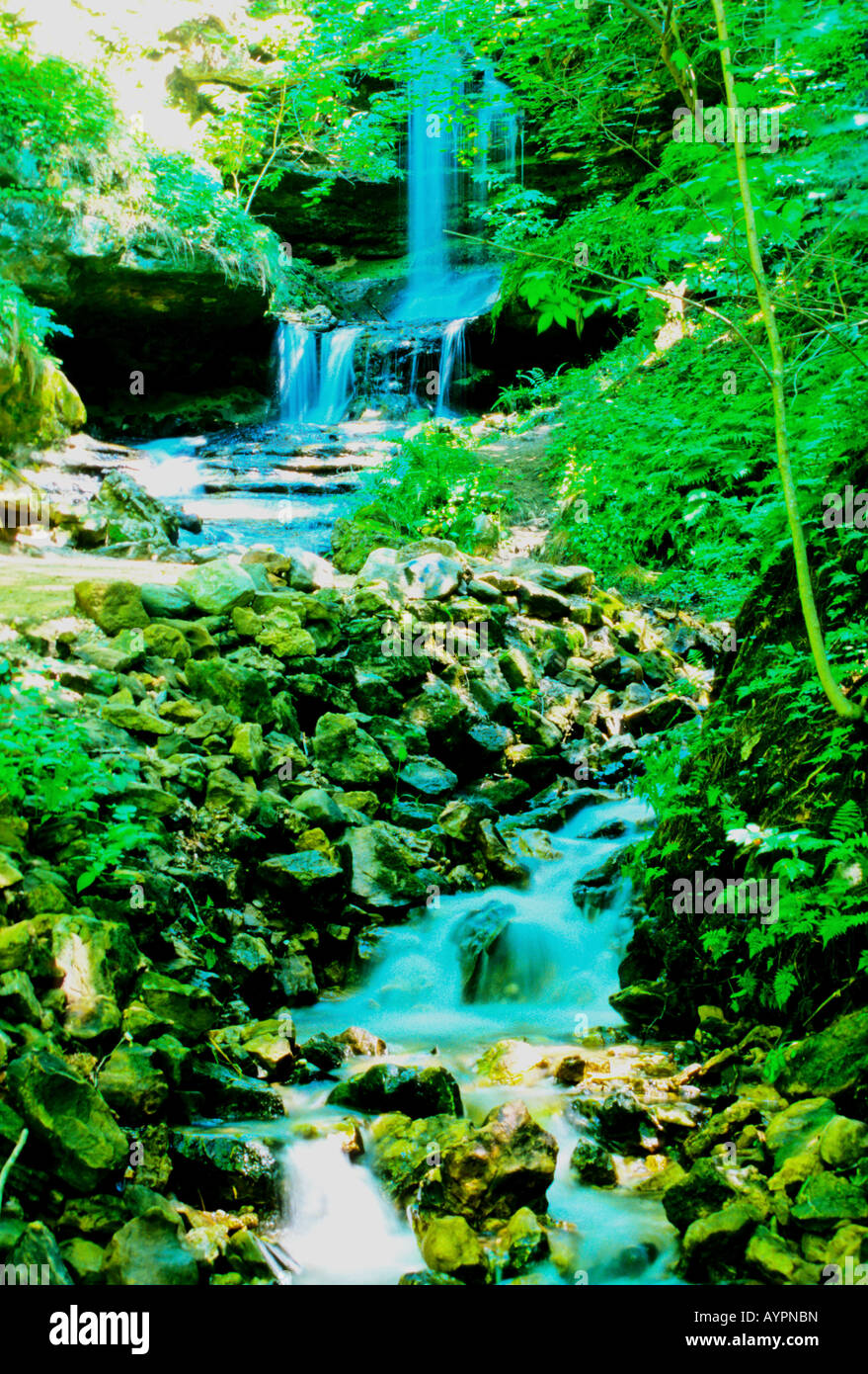 Waterfall upper peninsula Michigan State tree trees wilderness mountain ...