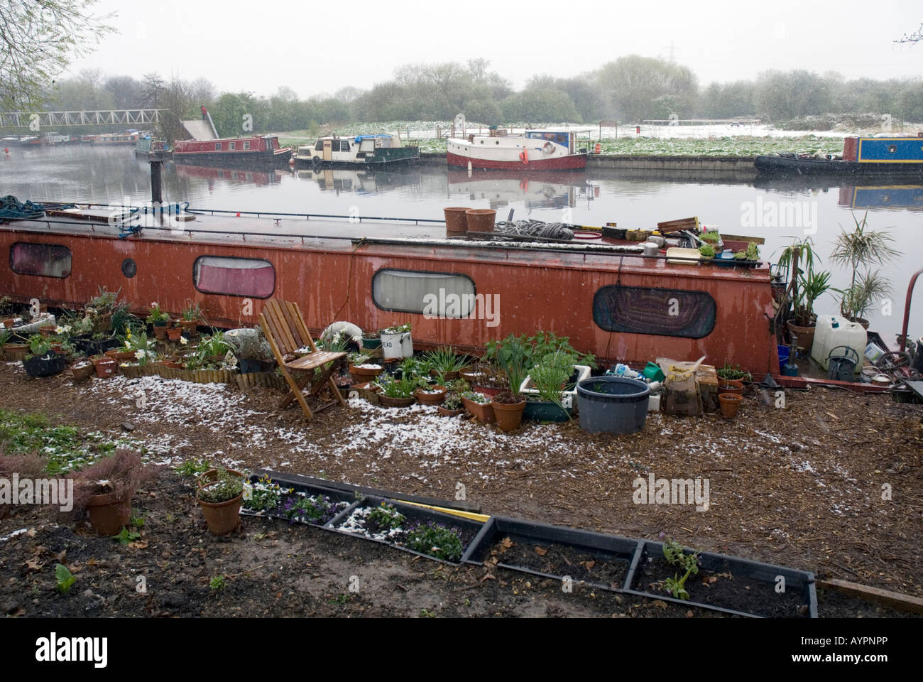 Old houseboat on the river Lea,with container garden in snow Wathamstow ...