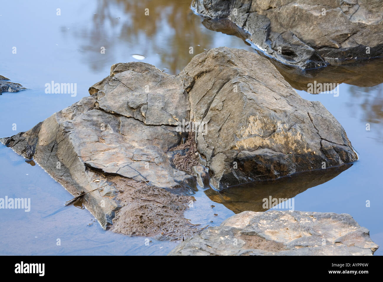 rocks sitting in calm waters of a river pool Stock Photo - Alamy