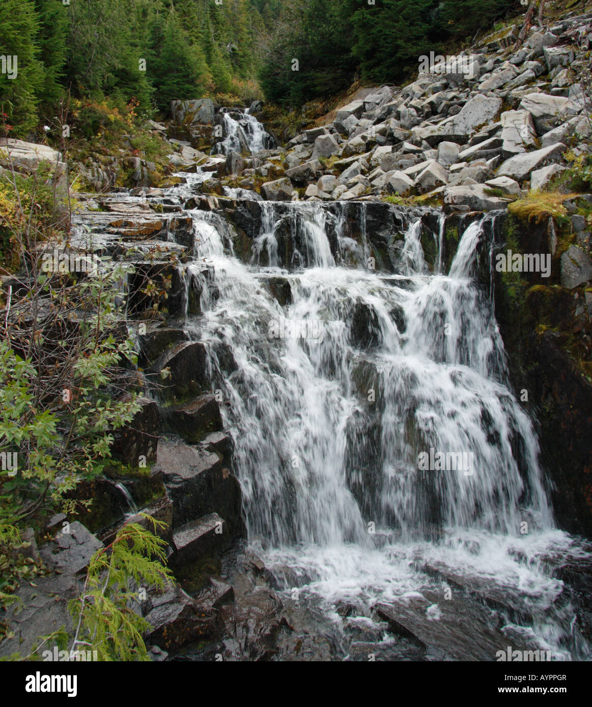 Waterfall Near Reflection Lake, Mount Rainier National Park, Washington ...