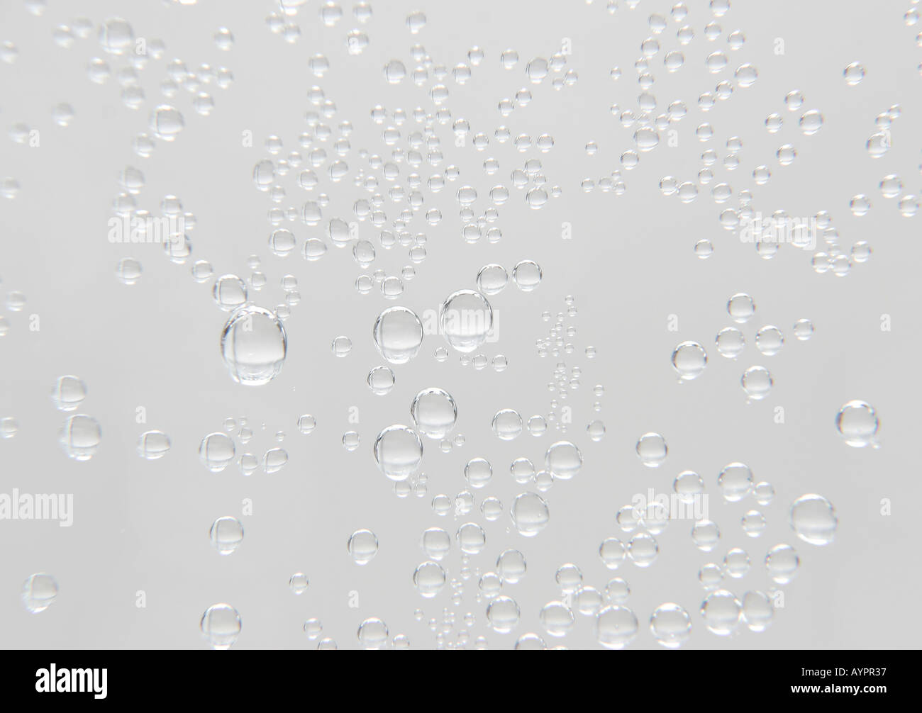 front-view-of-large-number-of-bubbles-stock-photo-alamy