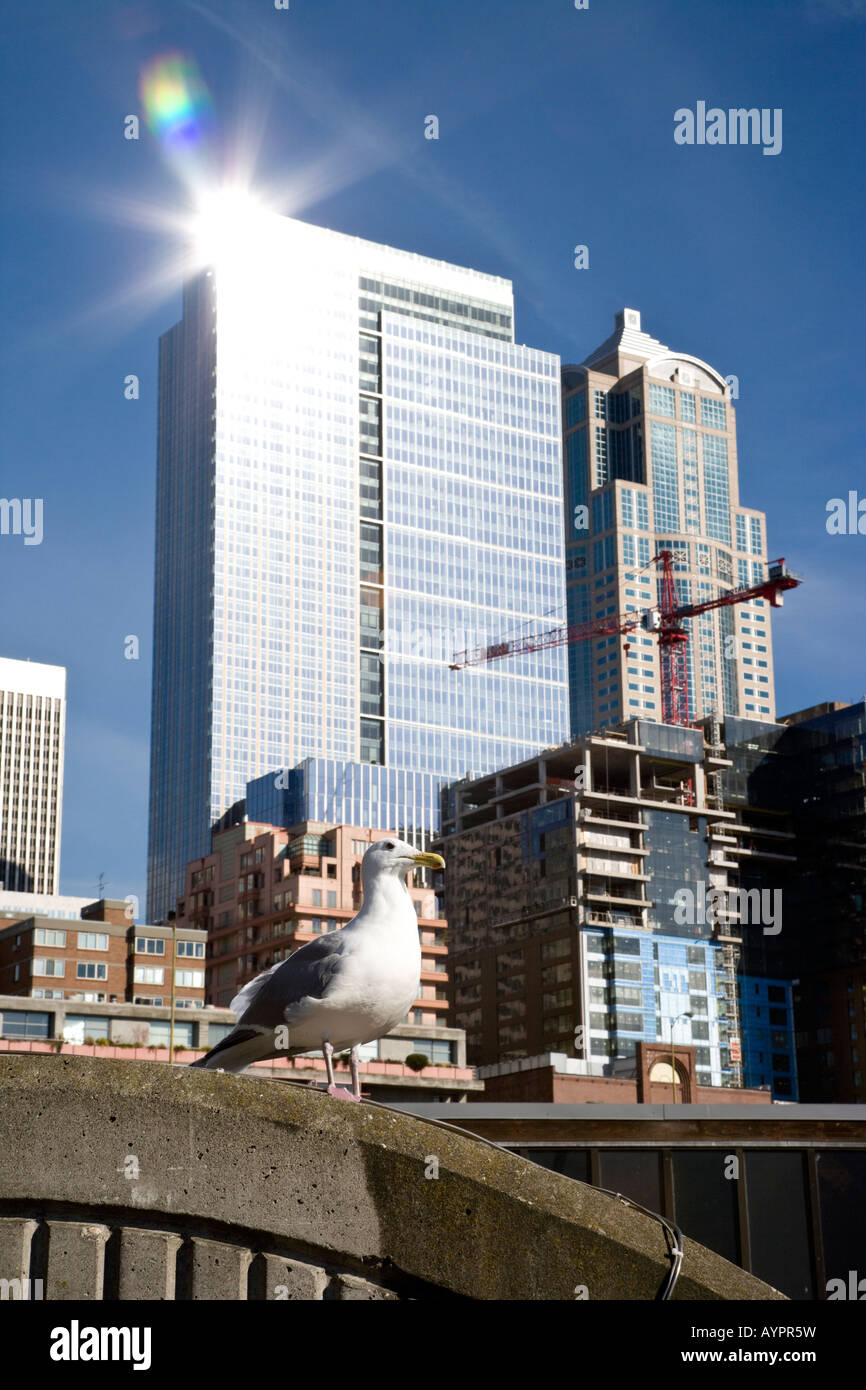 Seattle Washington State USA Elliott Bay Waterfront Washington Mutual ...