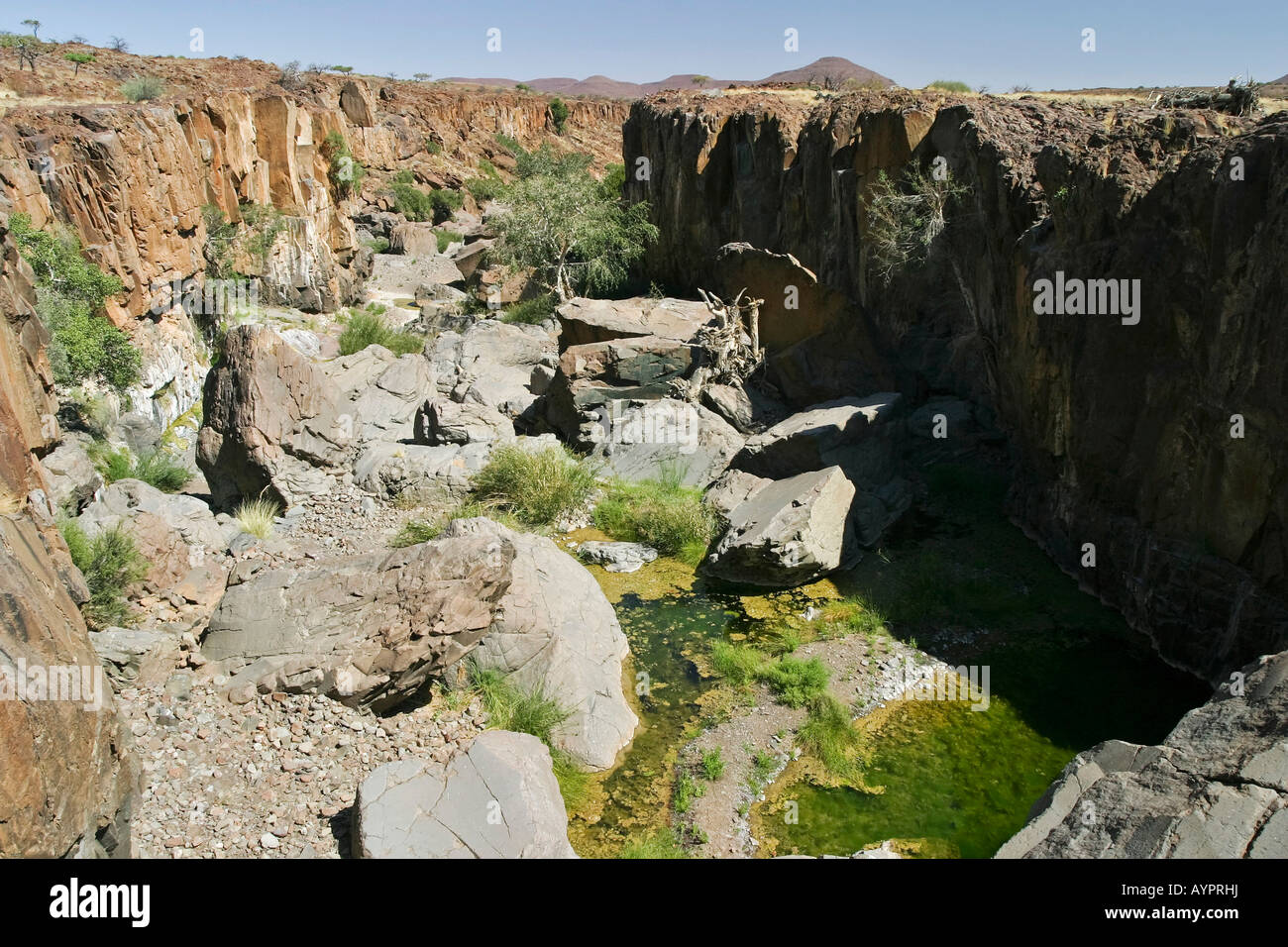 Felsige vegetation hi-res stock photography and images - Alamy